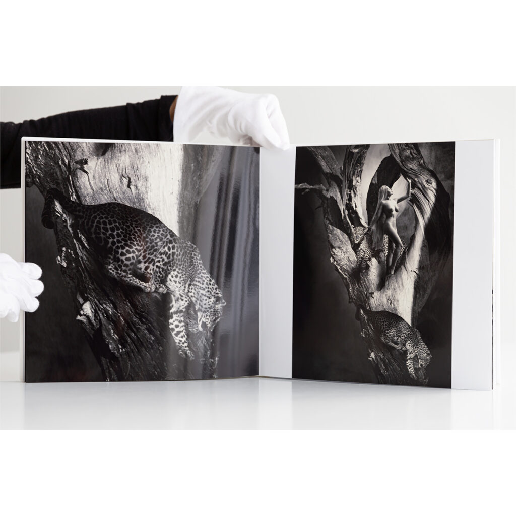 CHERAINE COLLETTE | Shop