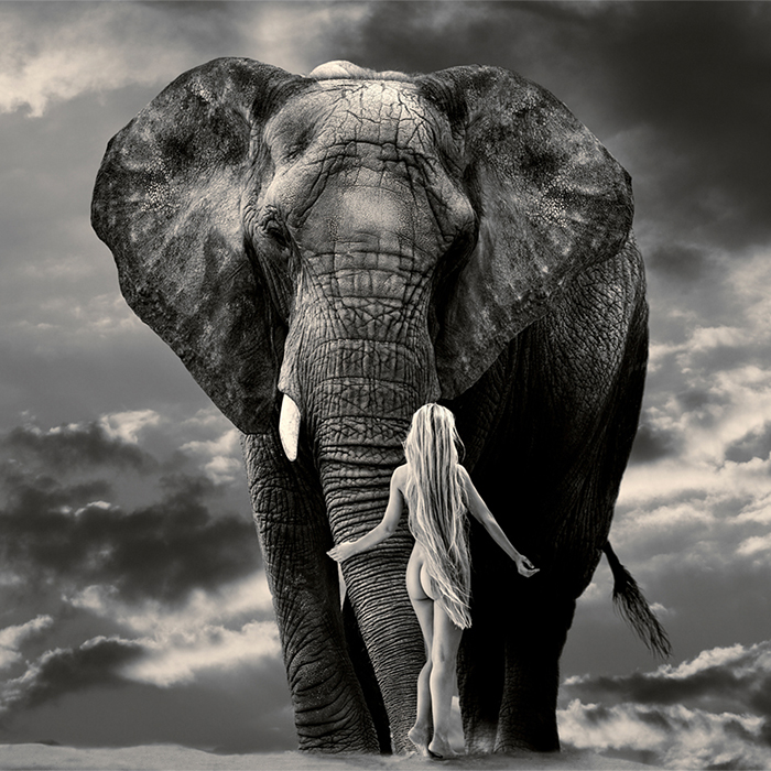 CHERAINE COLLETTE | Work